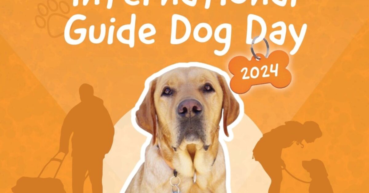 IGDD special 2: Damo and Jenna's story, and transition… | Powerd Media