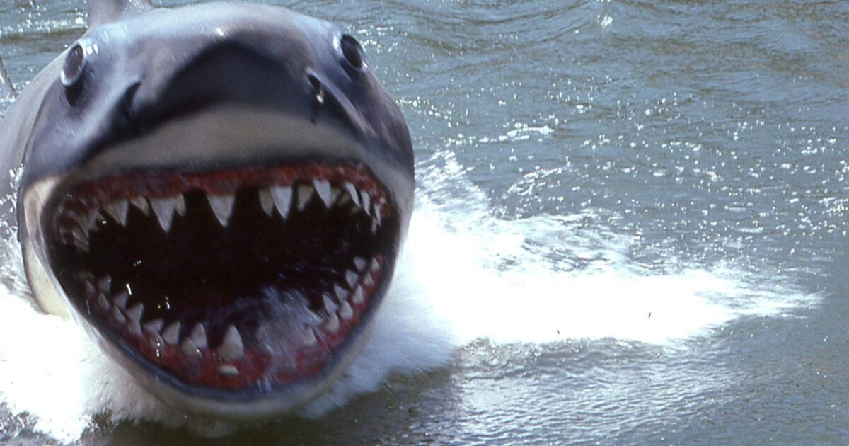 Code jumpers, JAWS, Braille puzzles and more | Powerd Media