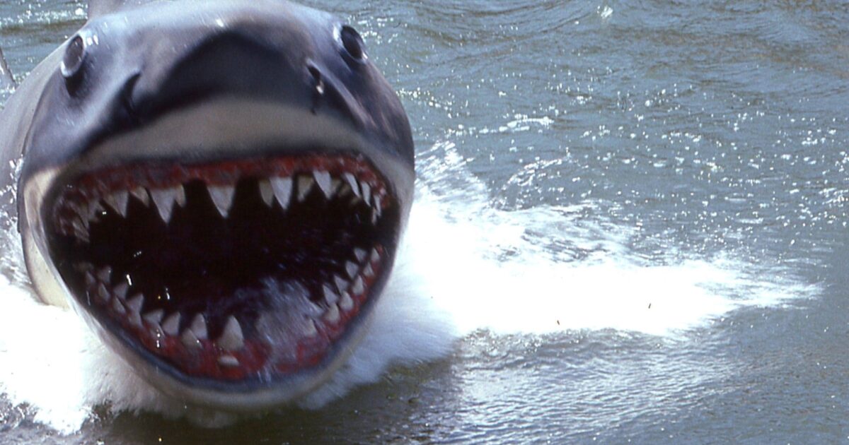 JAWS, Zoomtext and Fusion | Powerd Media