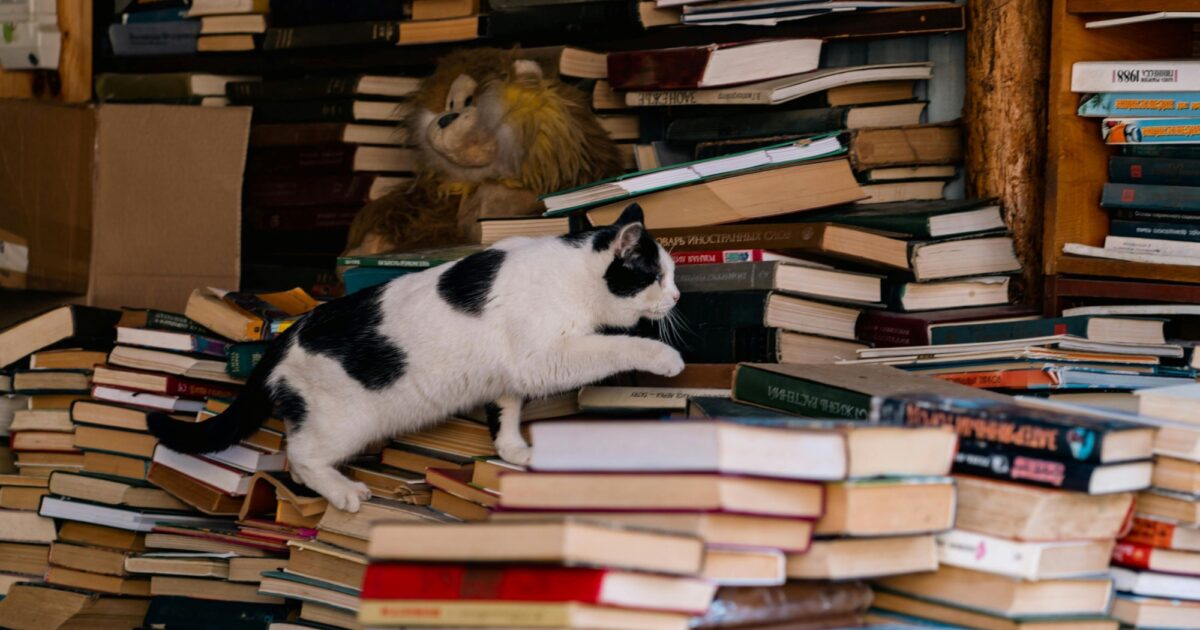 Coming events at Vision Australia Library | Powerd Media